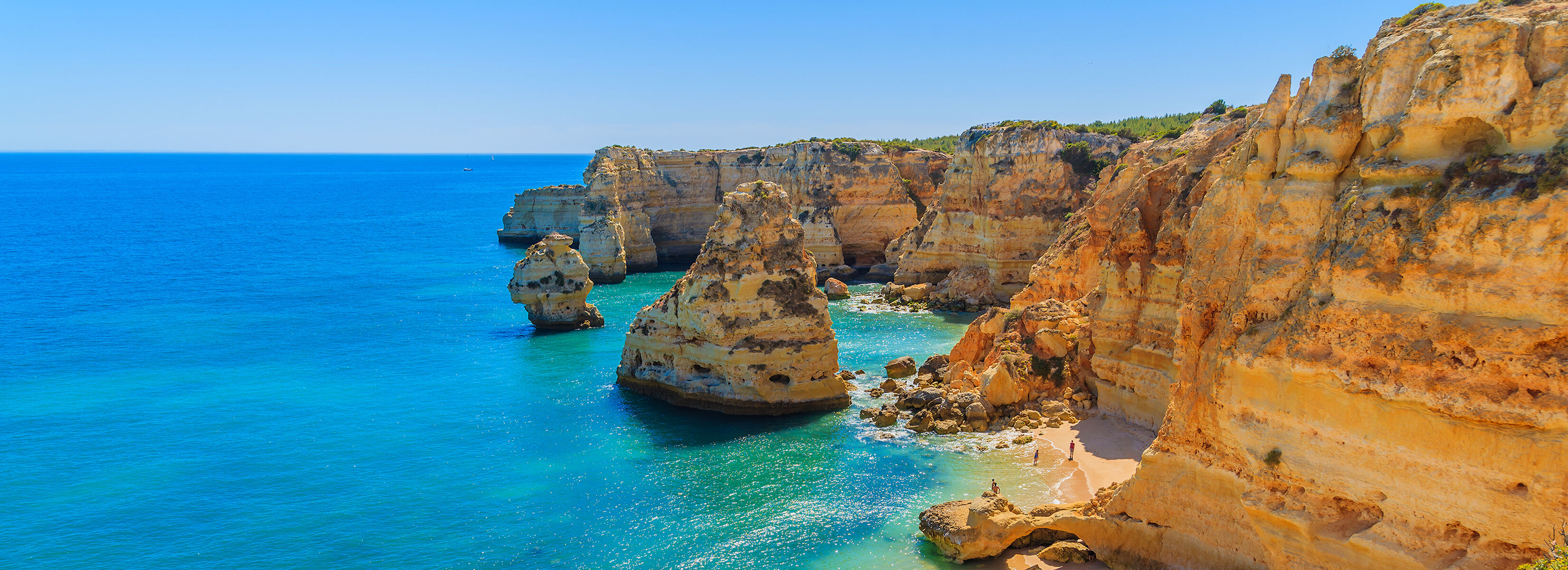 Home | Home and Afar Travel